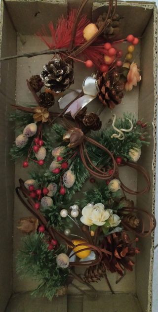 Rami decorativi frutta Natale