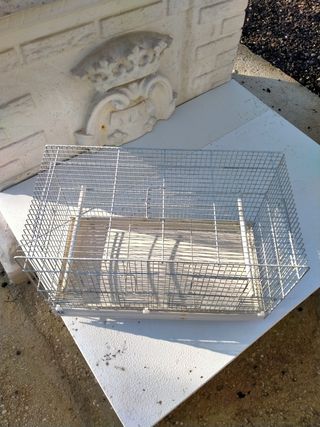 Gabbia per uccelli