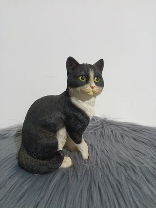 Gatto da esposizione piccolo 