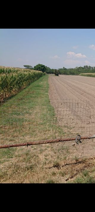 terreno MT 4100