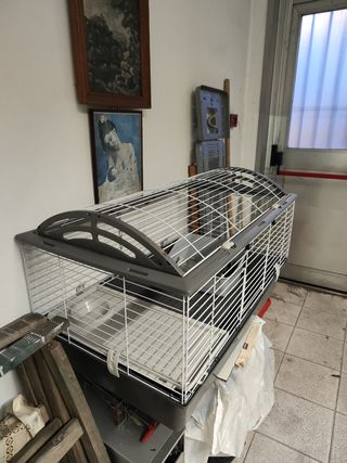 gabbia coniglio 