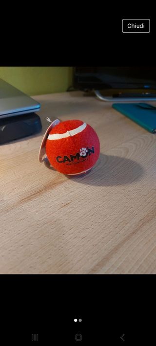 Pallina per cani mai usata