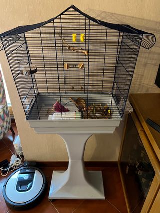 Gabbia per uccelli con piedistallo a ruote