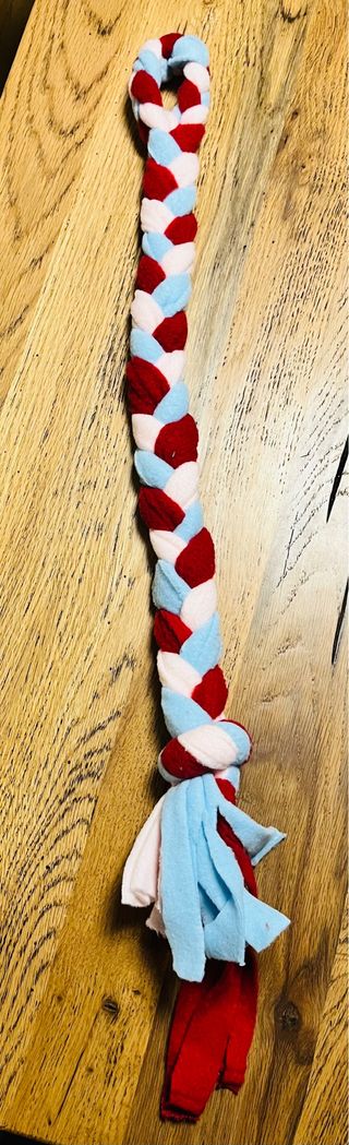 Treccia bianca/celeste e rossa x cane 