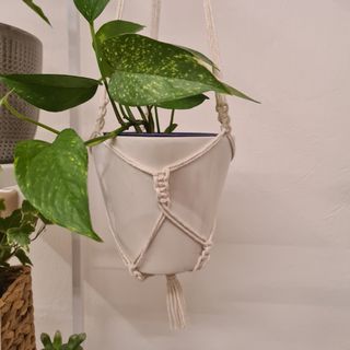 Plant Hanger macramè