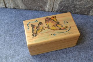 Box contenitore e organizzatore 