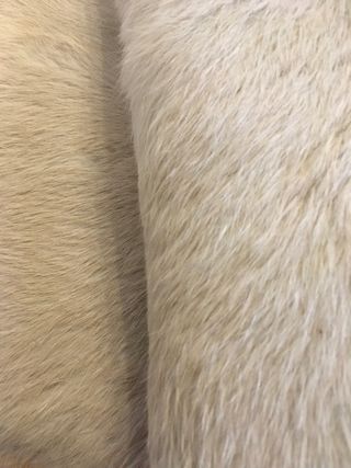 Prenotato sig. Monica