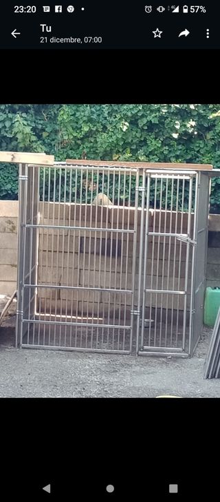 box cani misure 2.15 X2.15