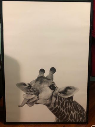 Quadro giraffa con cornice 
