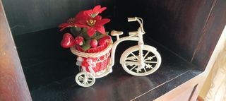 bicicletta porta vaso