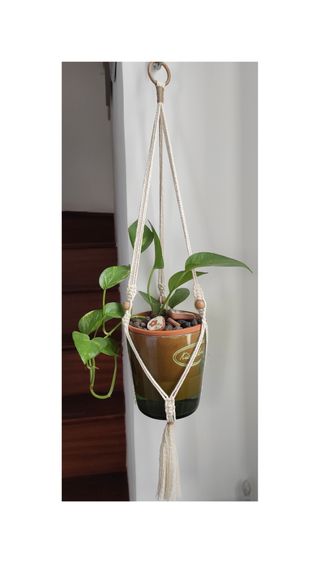 porta pianta in macramè corda cotone 