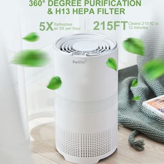 purificatore d'aria PuriDoc