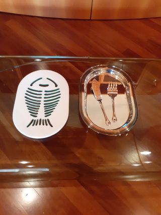 Piatto e posate da pesce