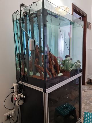 acquario 300 litri dolce/marino