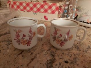 2 tazzine in porcellana 