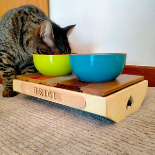 porta ciotole per gatti 