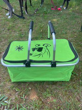 cestino pic nic levriero galgo, greyhound 