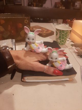 conigli in porcellana 