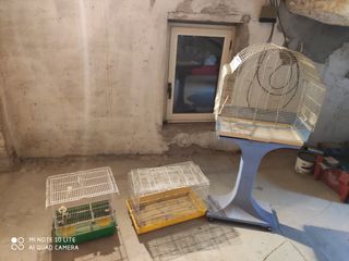 gabbie per uccellini 