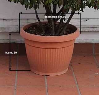 10 VASI IN PLASTICA PER ALBERELLI.