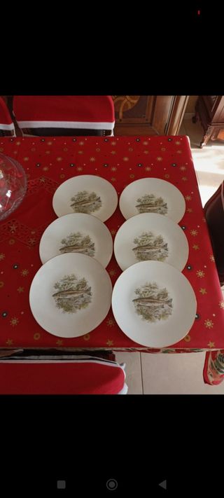 Set piatti piani grandi Germany