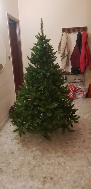 albero di Natale usato