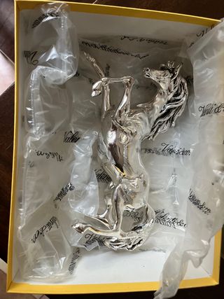 Cavallo in bagno argento 