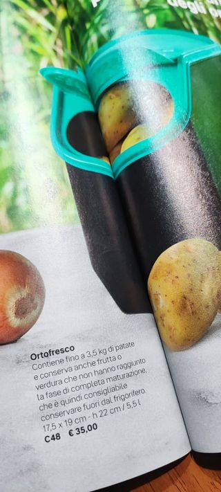 ortofresco per conservare