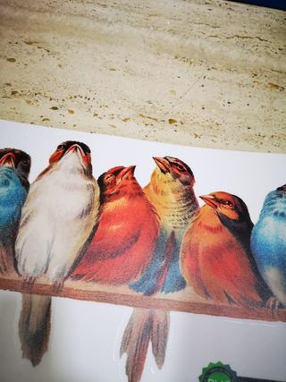 Adesivo da parete con pettirosso su filo