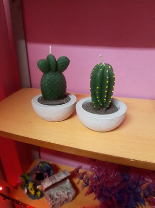 set cactus 🌵 candele