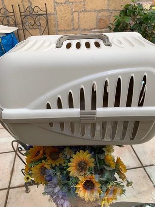 Trasportino gabbia gatto