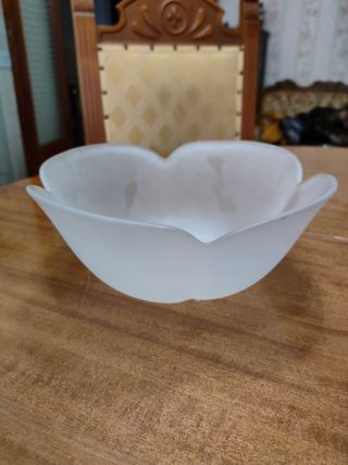 Fruttiera di vetro opaco 