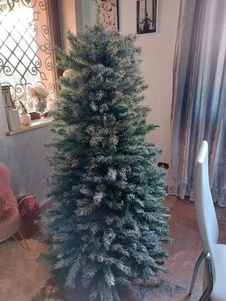 albero di Natale, altezza circa 1.70
