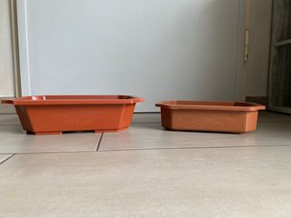 2 vasi bonsai in plastica