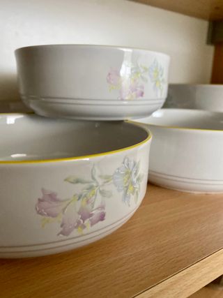 set ciotole da pranzo