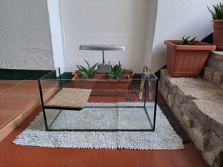 Acquario 55×28×28