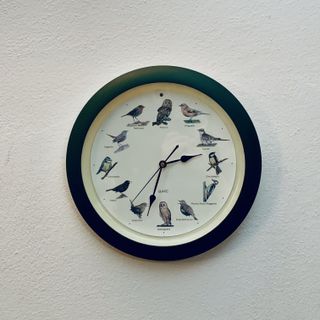 Orologio cucu da parete con versi di uccelli (Quar