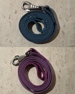 Set di 2 guinzagli per cani