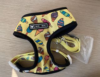 Pettorina e guinzaglio