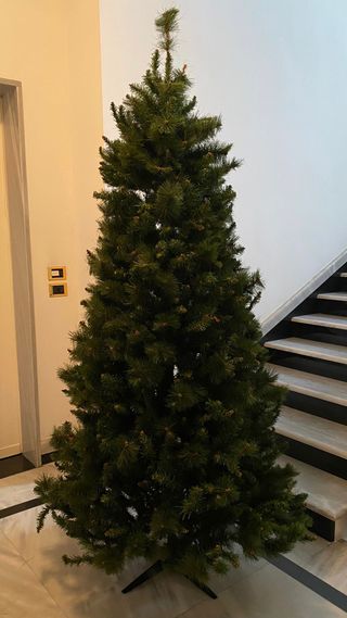Albero di Natale 240cm