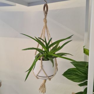 portavaso da appendere in iuta naturale 