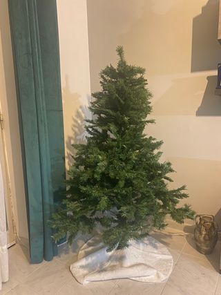 Albero di natale senza addobbi