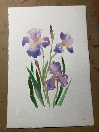 Acquerello Iris 