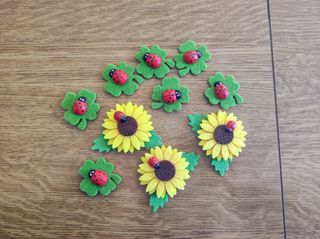 Coccinellle e Girasoli