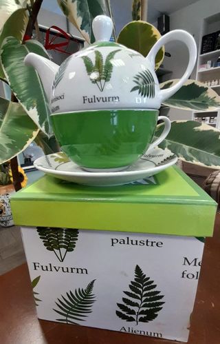Tea4One teiera felci