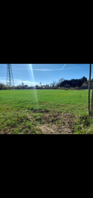 vendita terreno agricolo
