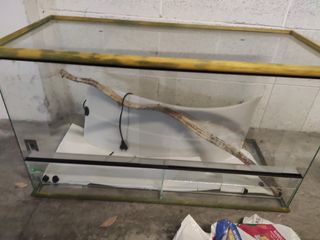 terrario per rettili