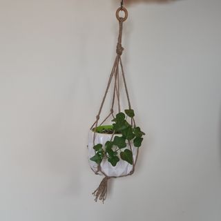 Portapianta da appendere 60 cm