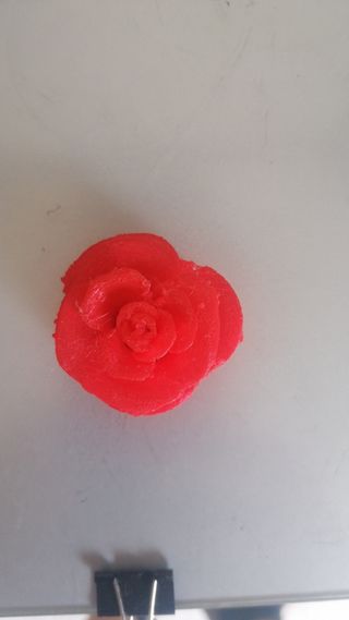 Rose realizzare in 3d 