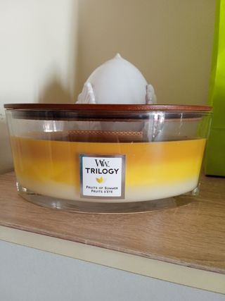 Woodwick Trilogy candela Fruits of Summer